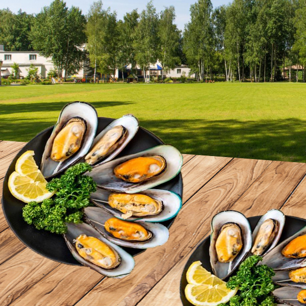 2025 Midye Dolma Kiralama Fiyatları - İstanbul & Tüm Türkiye Kiralık ...